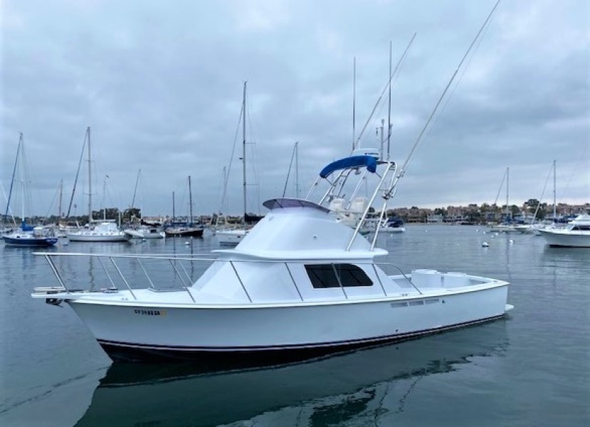 Bertram Yachts for Sale in Florida | Flagler Yachts