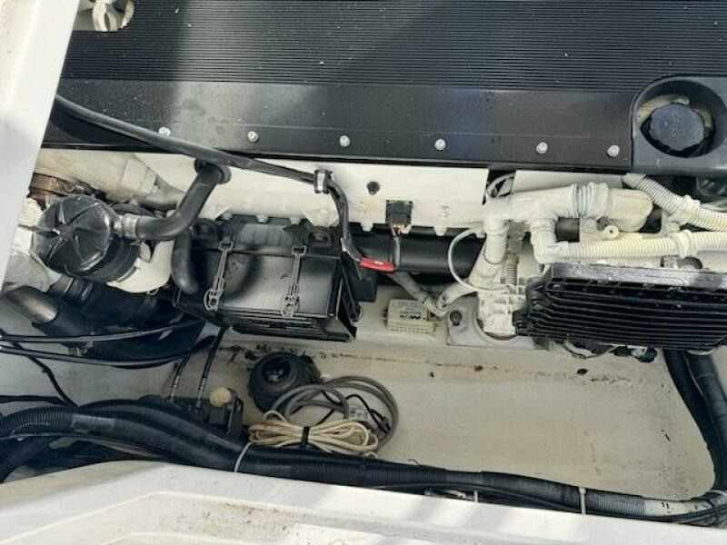 25 ft Bertram 1964 25 - | Yachtr