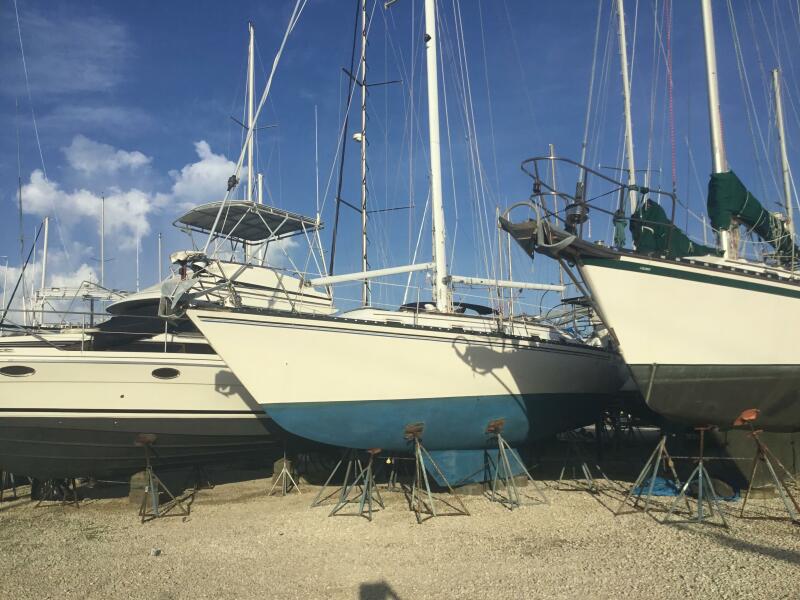 37 ft Hunter 1981 37 - ANDIAMO | Yachtr