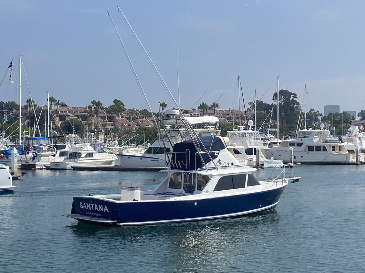 31' Bertram Palm Beach Edition for Sale | Sport Fishing | SANTANA ...