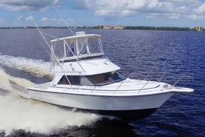 1989 Phoenix 33 Convertible Priority II